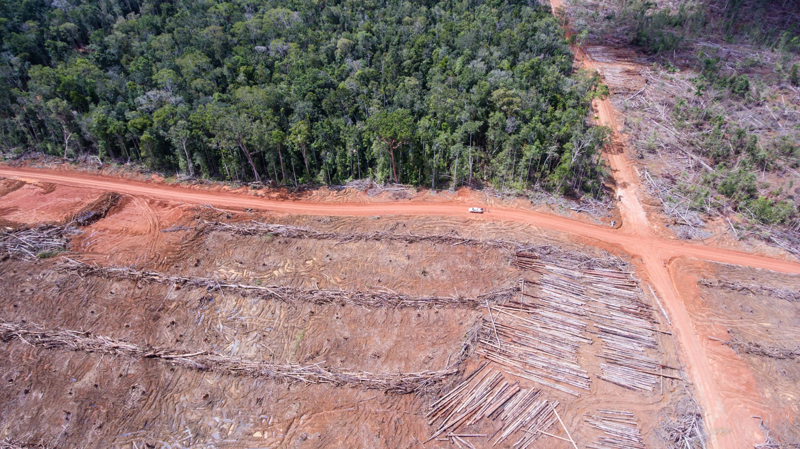 Consumer Brands Set Precedent by Suspending Samling Group - Mighty Earth