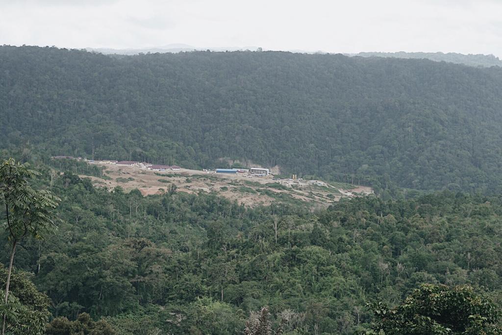 New Analysis: Batang Toru Hydroelectric Plant 'Unnecessary' - Mighty Earth