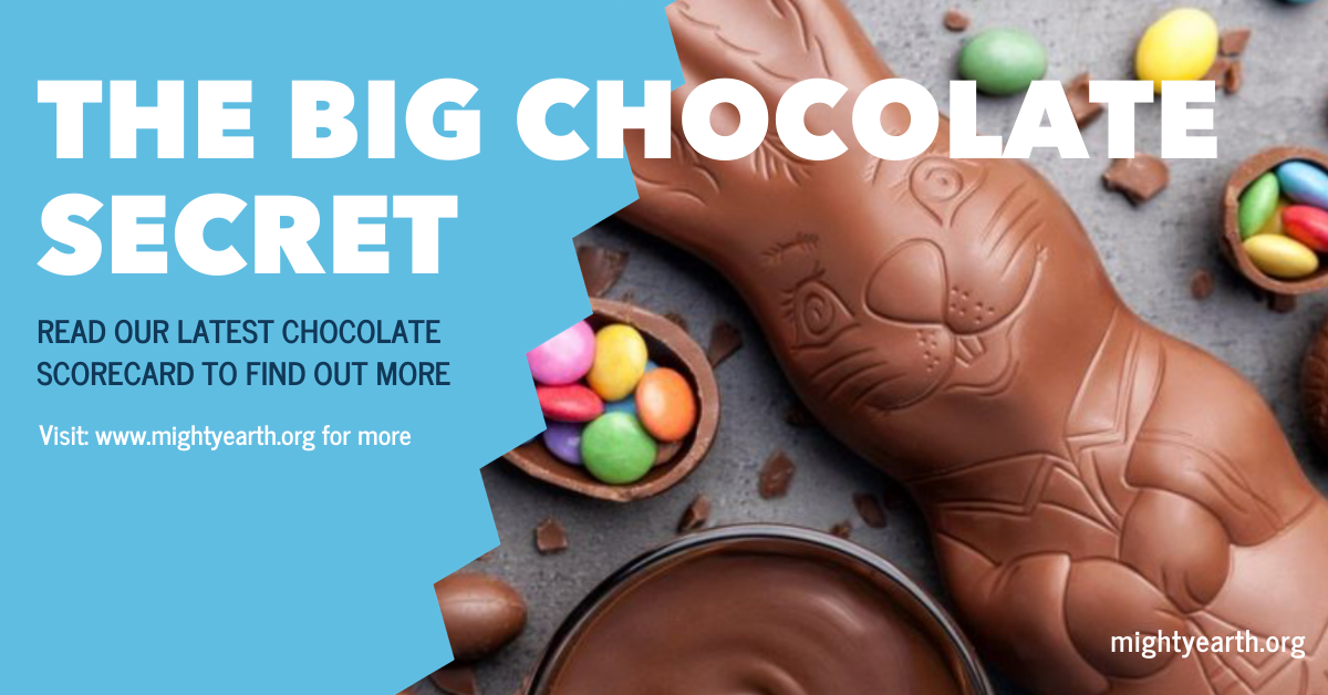 Easter Scorecard: Chocolate Companies Earn "Rotten" & "Good" Eggs for ...