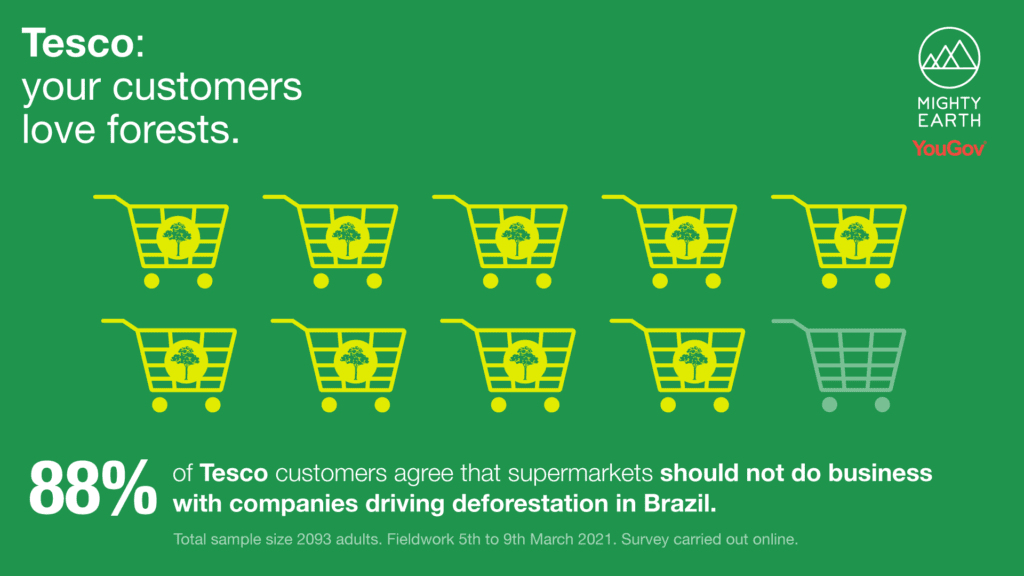 Poll: 88% of Tesco Customers Believe Supermarkets Shouldn't Do Business ...