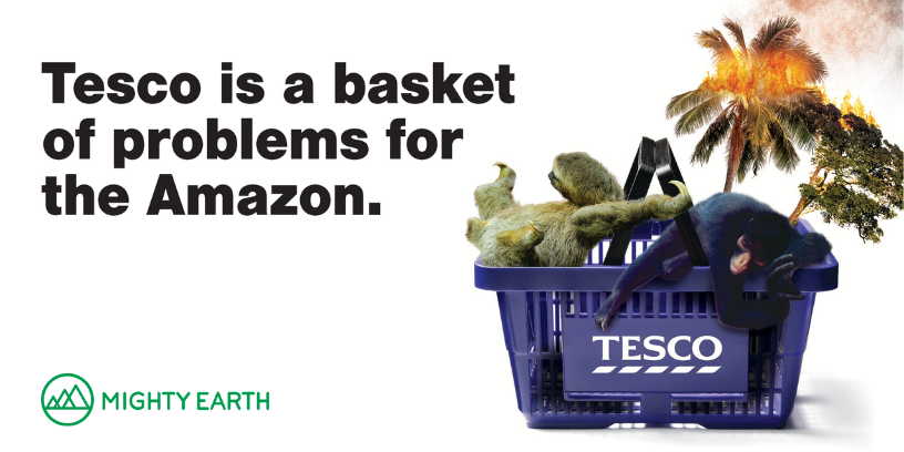 Tesco: A basket of problems for the Amazon - Mighty Earth