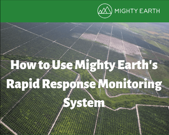 Rapid Response Monitoring System Webinar - Mighty Earth